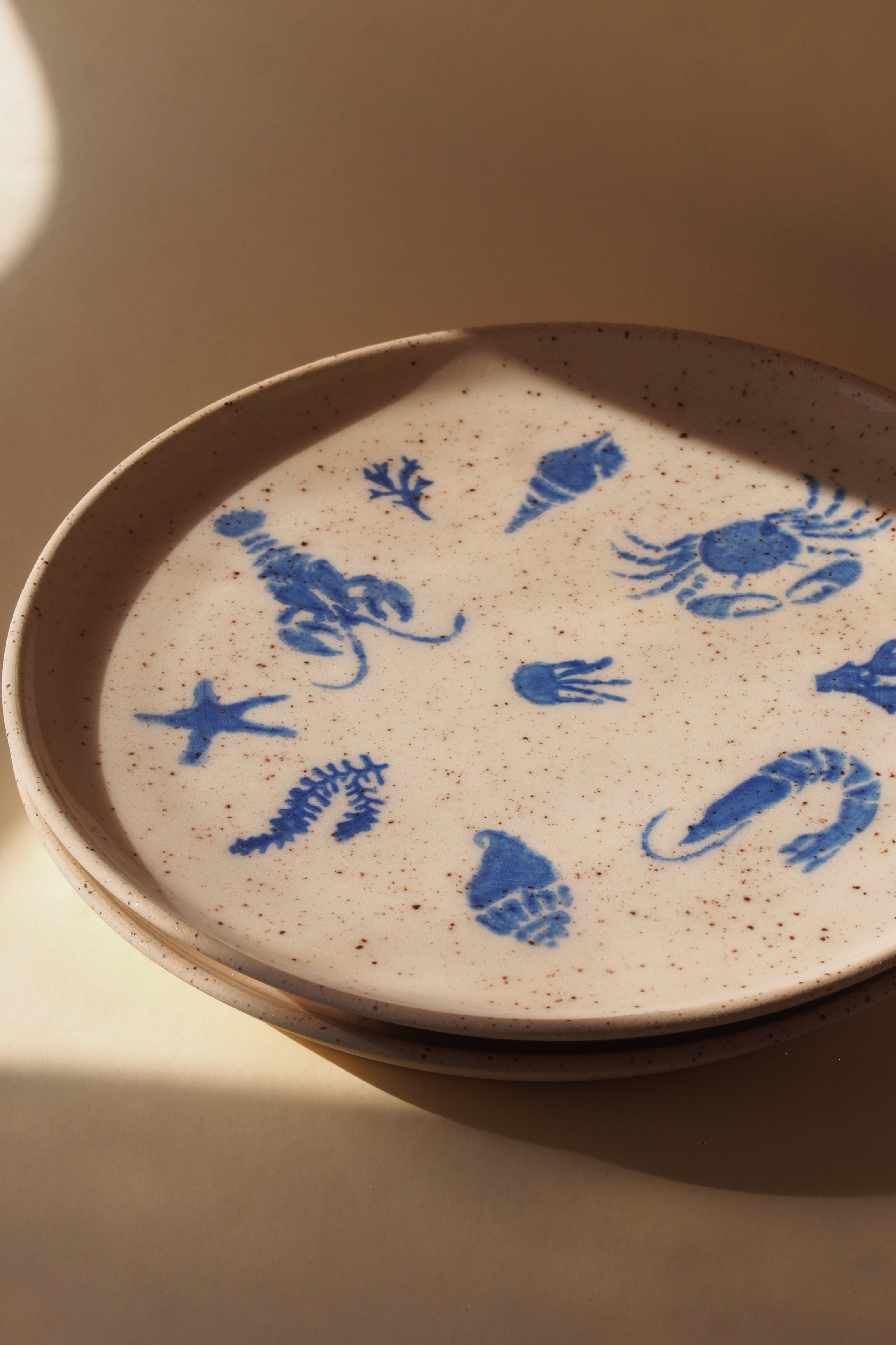 Moyenne assiette sea shack | bleu | Lapoteuse